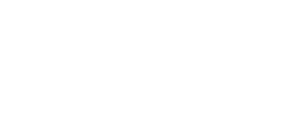 NVP – Natural Value Performance